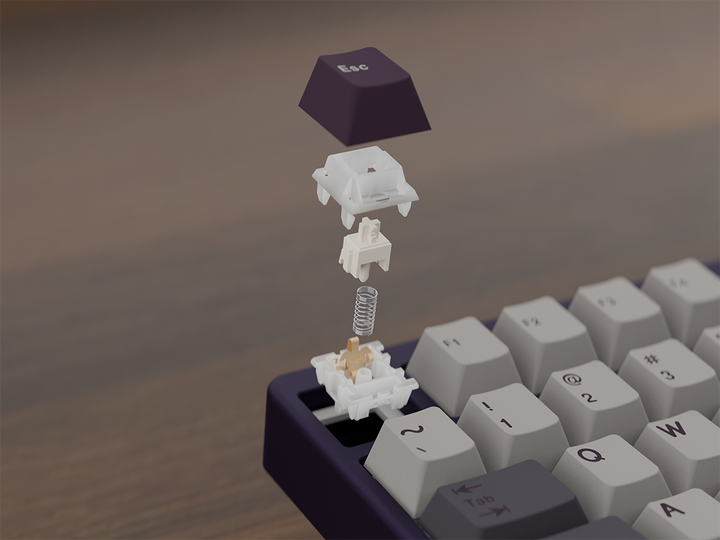 TICKTYPE EVO80 - 87 Keys Wireless Gaming Keyboard with RGB