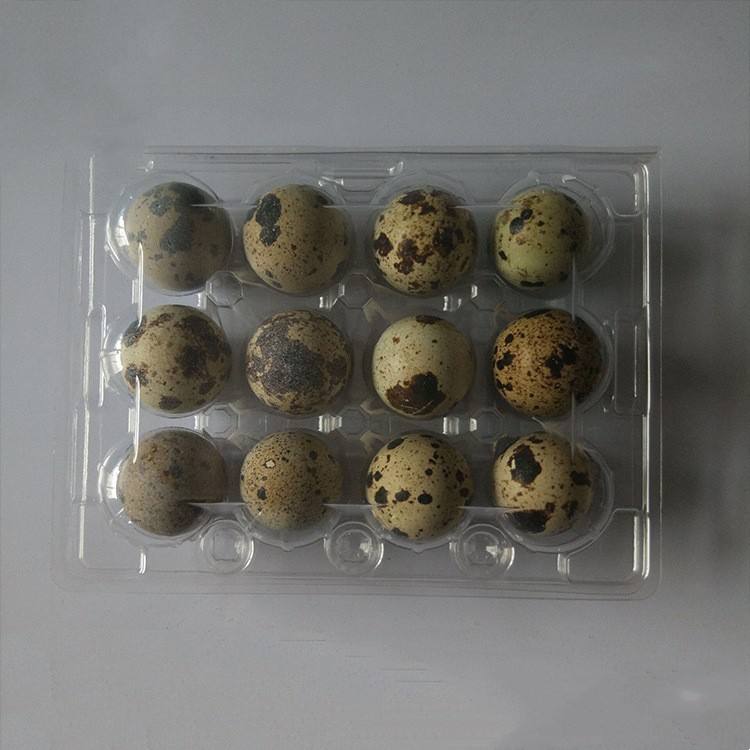 12 Holes Clear Quail Egg Box Packaging Container PET Plastic Blister ...