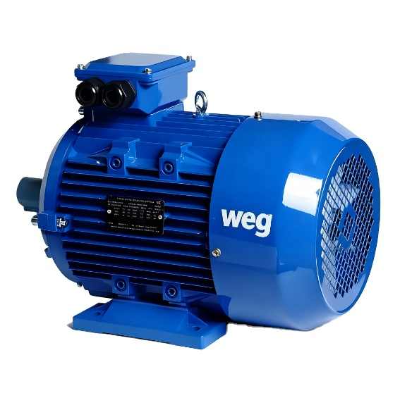 380V 50/60Hz Weg Motor W20 W21 W22 Three-Phase Electric Motor 2.2kw/3kw ...