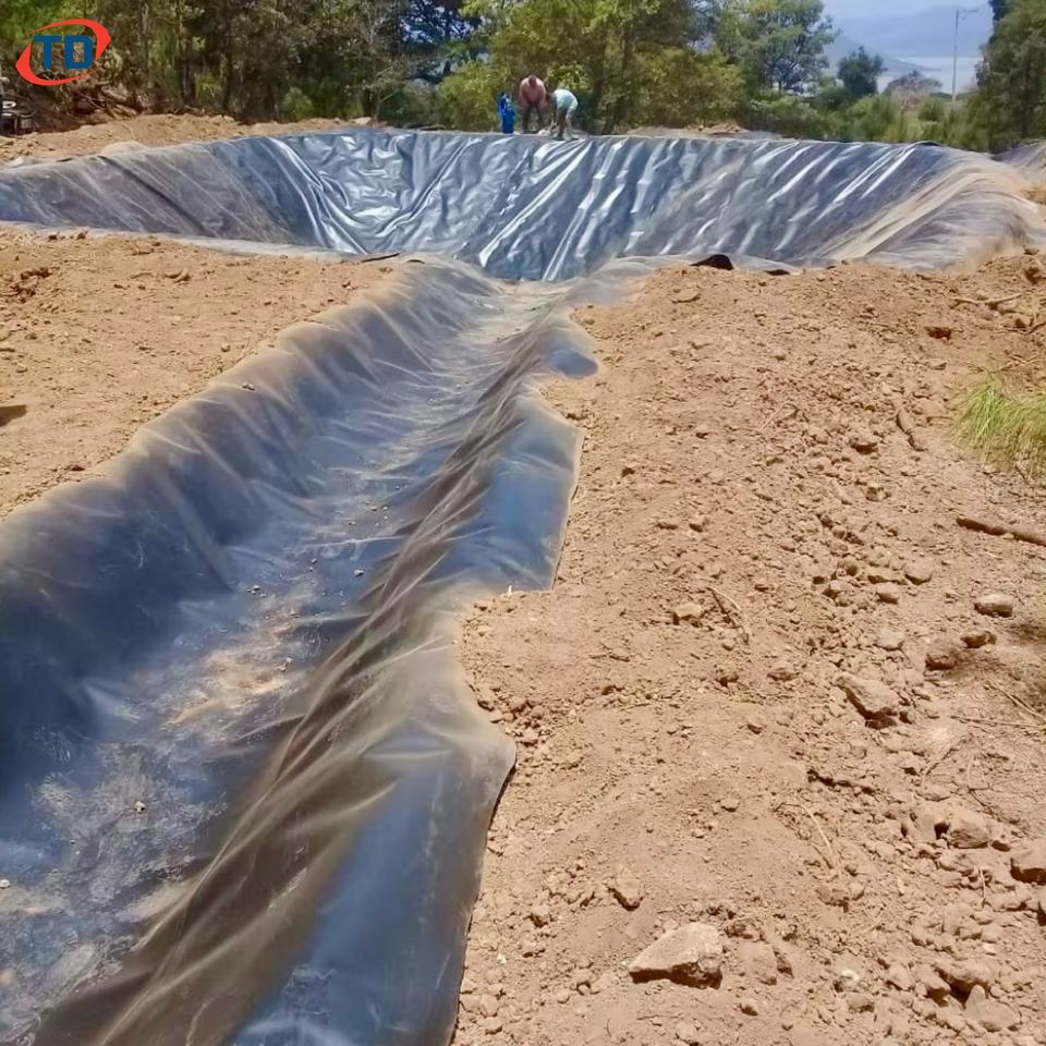 Biogas Digester Liner LDPE Geo Membrane Pond Liner 45mil 1mm 1.5mm for ...
