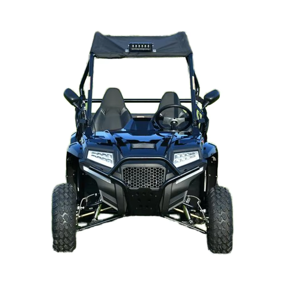 Luxury 200cc 4-Wheel Off-Road Recreational Utility Compact CVT Side-by ...