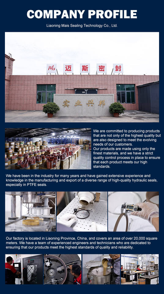 Filled PTFE GSI Rod Glyd Ring High Temperature Resistant Hydraulic Seal ...