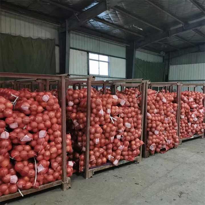 15KG Fresh Yellow Onions from China - Cheap Price & Quality