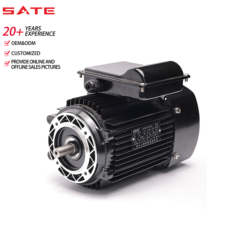 IE3 220V MY Capacitor Aluminum Shell Single-phase Asynchronous Motor AC ...
