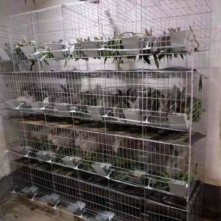 Cheap Commercial Rabbit Breeding Cages - Easy to Install