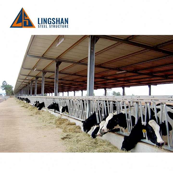 Cheap Prefab Light Steel Farm House Cattle Shed Modern Cow Shed Barns H ...