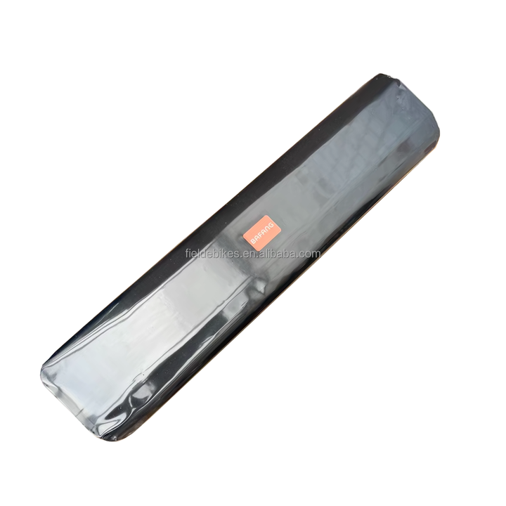 Bafang BT F25.820.C Battery - 50.4V, 16.2ah, 800-1000 Cycles