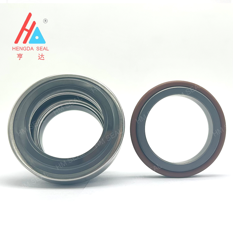 High Quality Elastomer Bellow Mechanical Seal HM BT-ARP Suit Fo Hilge ...