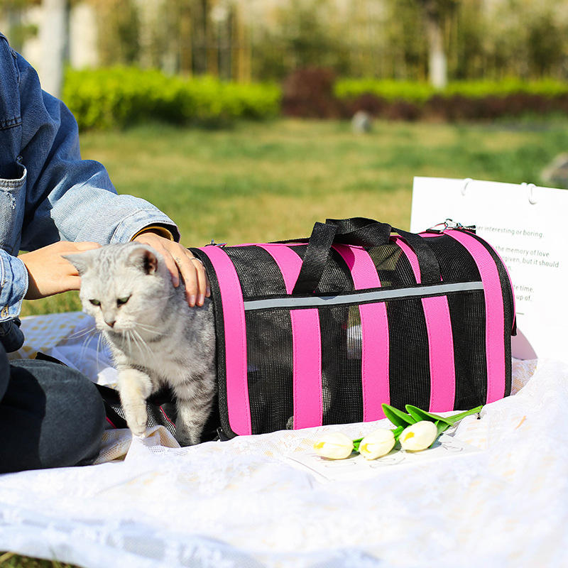 Cat Bed Outdoor Seat Insert Animal Puff Outside Rabbit Sofa Bedding ...