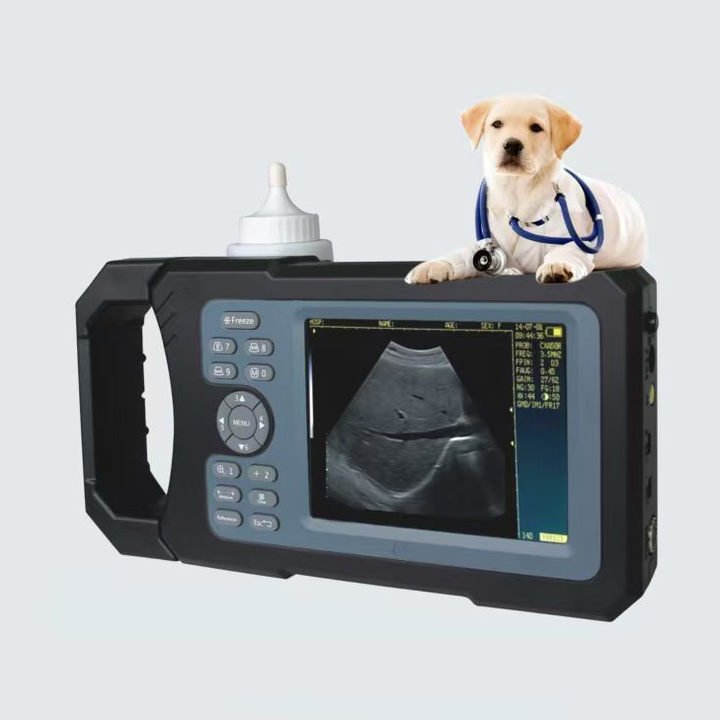 JZ-ADU2008 Portable Veterinary Instrument Pregnancy Scanner for Pet ...