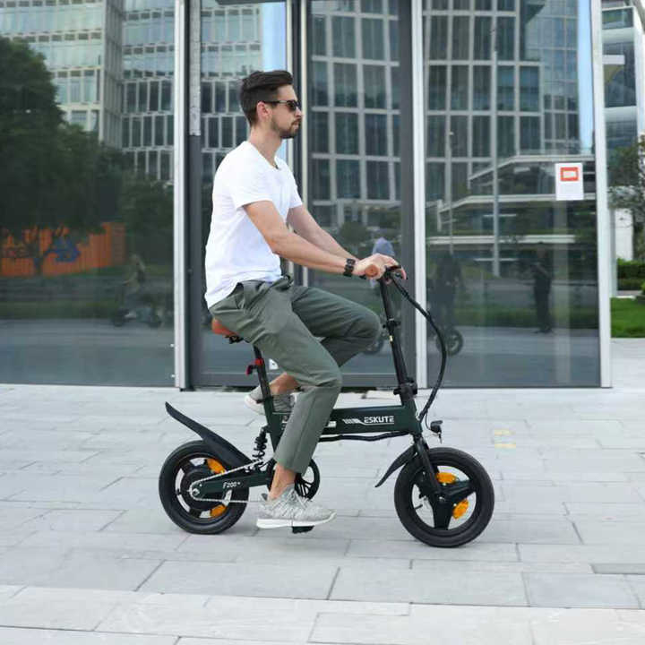 ESKUTE Customize Electric Foldable Bike 250W 36V 7.8ah 14-inch 1 Speed Folding Ebike Customized ...
