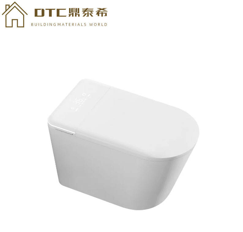 Luxury Floor Smart Toilet Electronic Flush Ceramic Smart Toilet Built ...