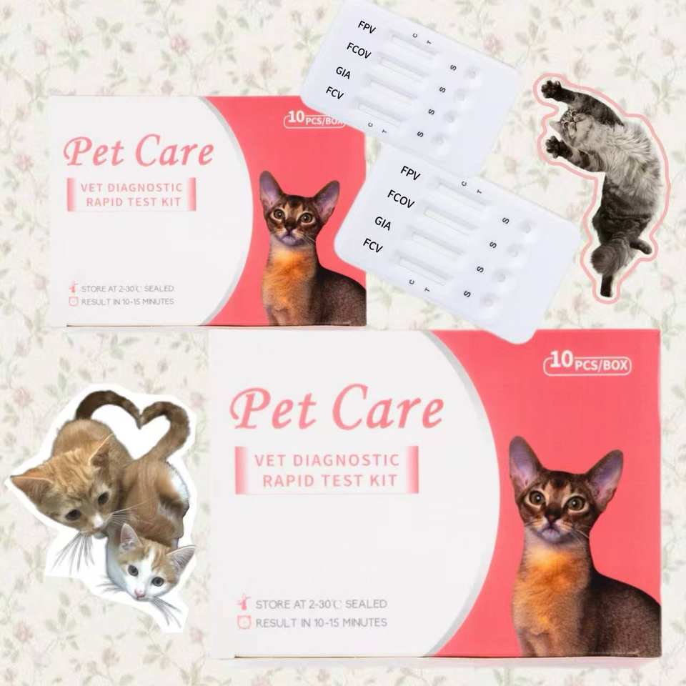 Feline Test Kit FPV FCoV Kit in Stock Cat Gia Fcv Test Kit for Cats ...