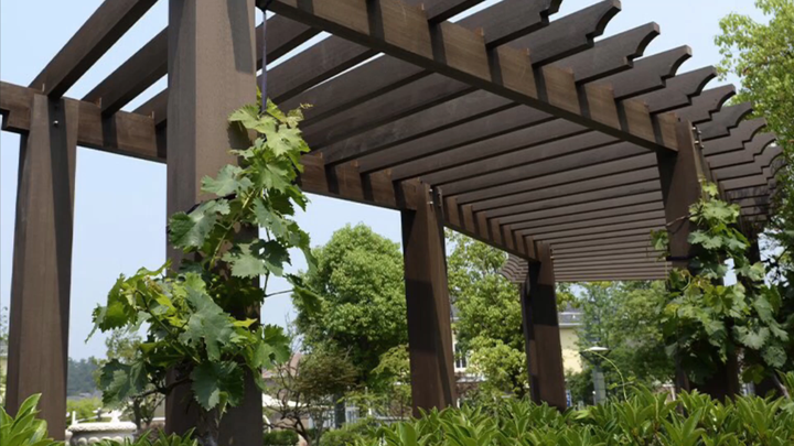 Outdoor project weather resistant grape rack balcony pavilion anti ...