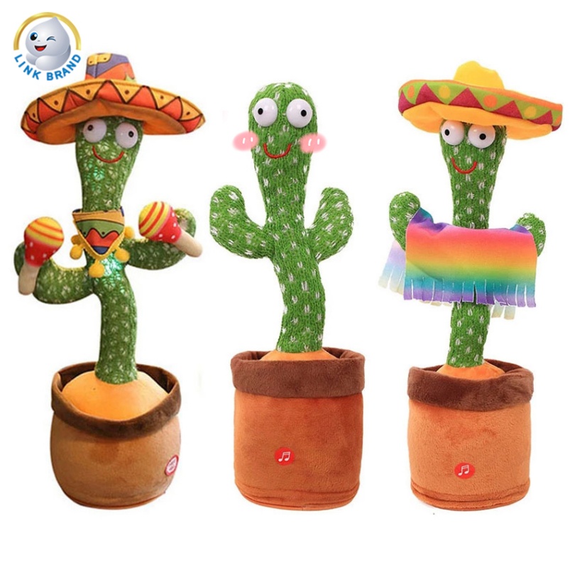 How to Choose the Best Cactuses for Your Home or Garden