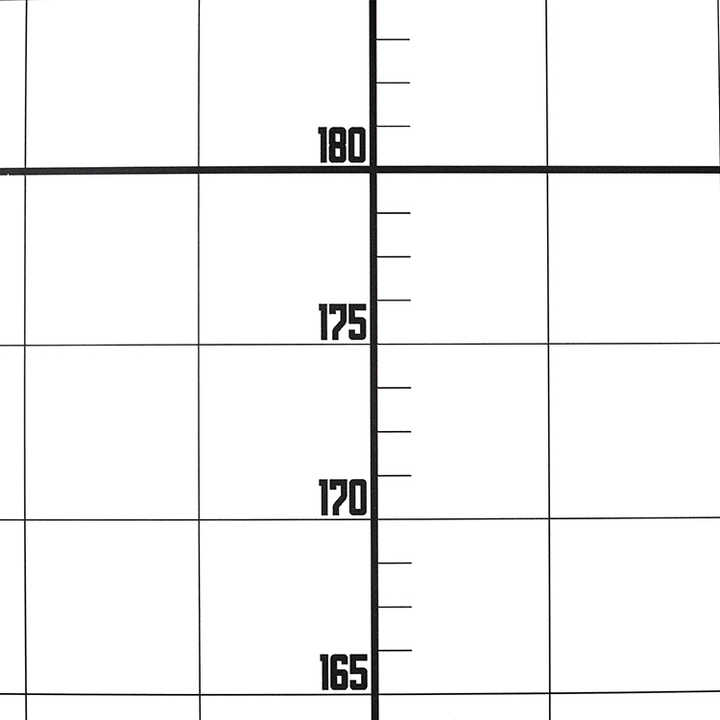 Wall Mount Posture Grid for Posture Assessment - JOINFIT