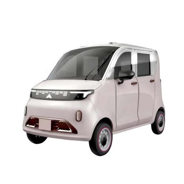 Customized Small Electric Car Lifepo Battery for Commute