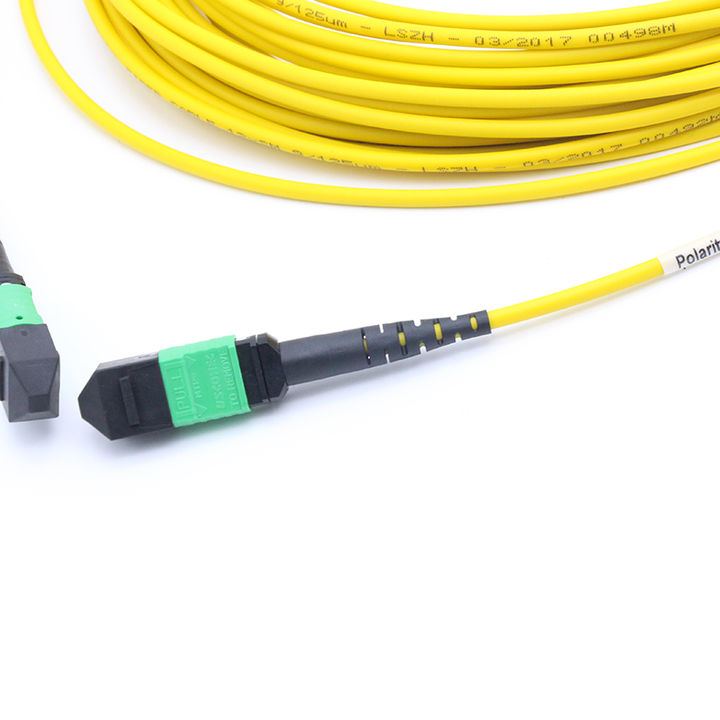 MPO/MTP-SM Single Mode Optical Fiber Patch Cord 12-Core 24-Core SC APC ...