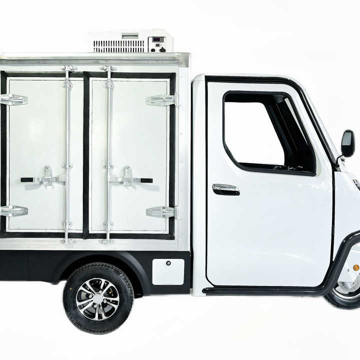 EEC Electric Cargo Trike - 1000W Motor Ice Cream Tricycle