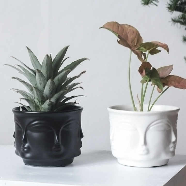 Boho Planters & Homesense Pots - Stylish Ceramic Pottery