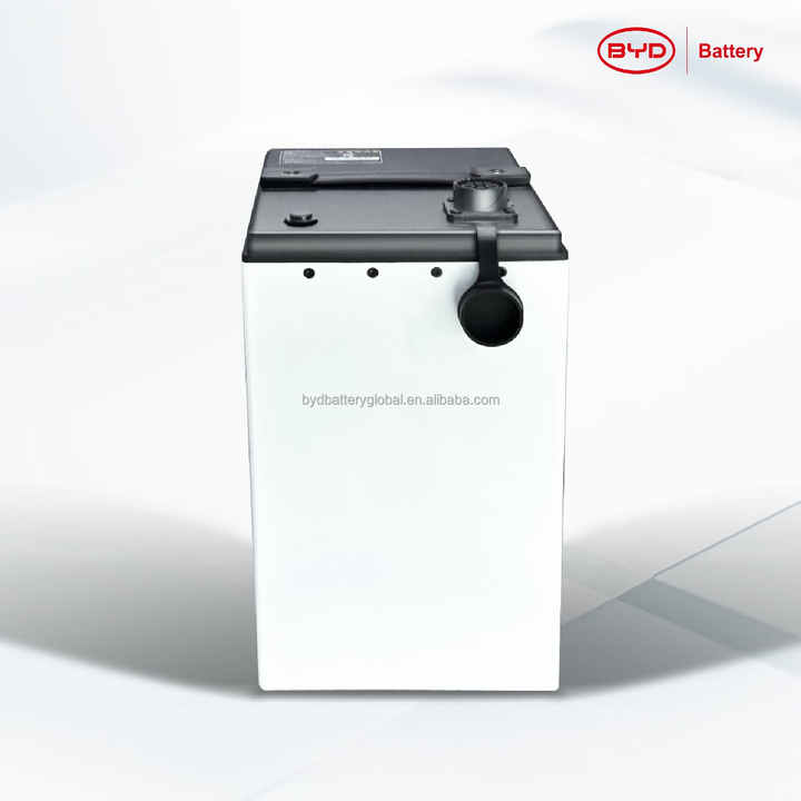 BYD 76V 48Ah LFP Battery Pack 24S2P for Electric Bike Ebike E Scooter E ...