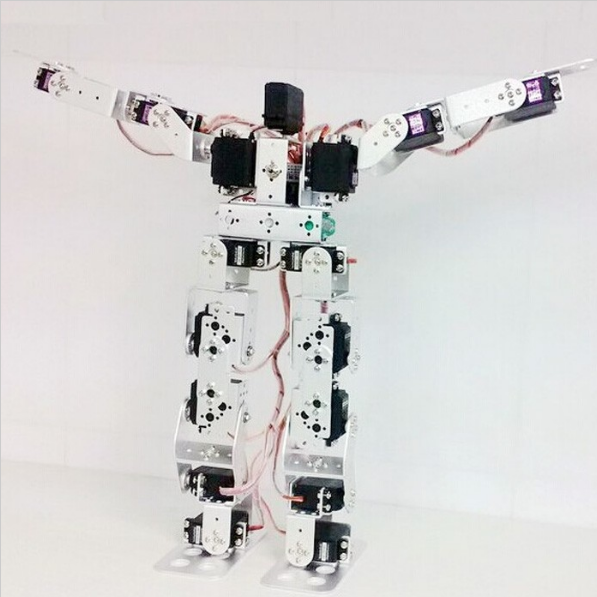 Big! Bio-Robot - 17 DOF Metal Humanoid for DIY Projects