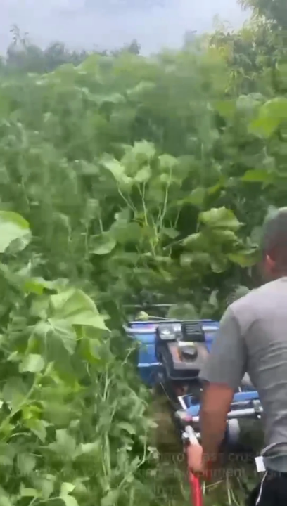 Crop Straw Shredding Return Field Machine Front Orchard Grass Shredder ...