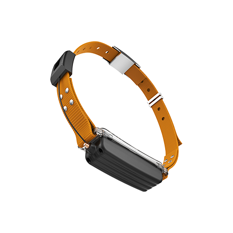 IOT Lorawan GPS Cattle Tracker for Smart Farming