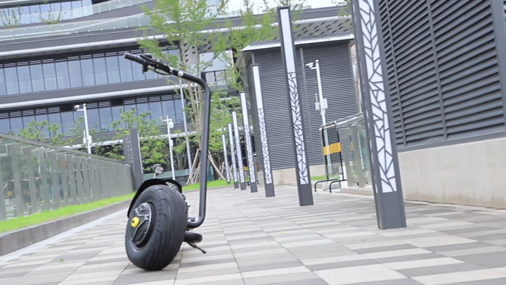 Moon Scooter High Range Electric Two-Wheel Scooter EEC/COC Legal, 65km ...