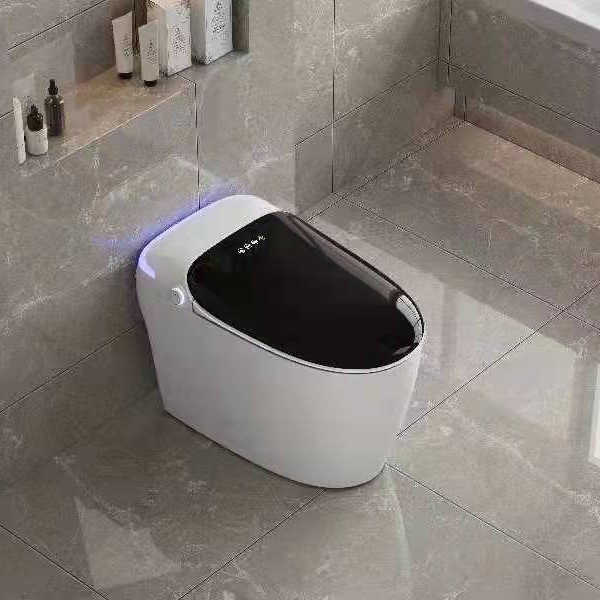 SUNDREAM Automatic flush sensor toilets intelligent smart wc bathroom ...