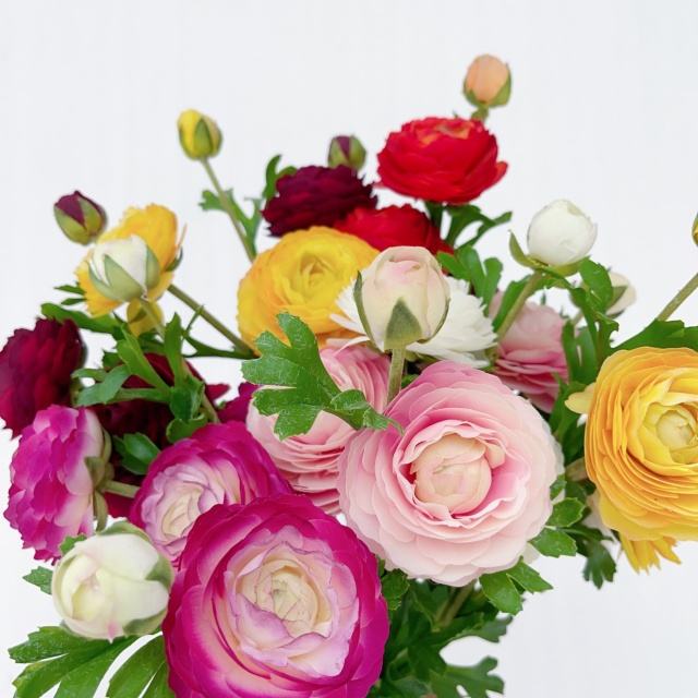 High Quality Artificial Real Touch 3 Heads Ranunculus White Pink Hand ...