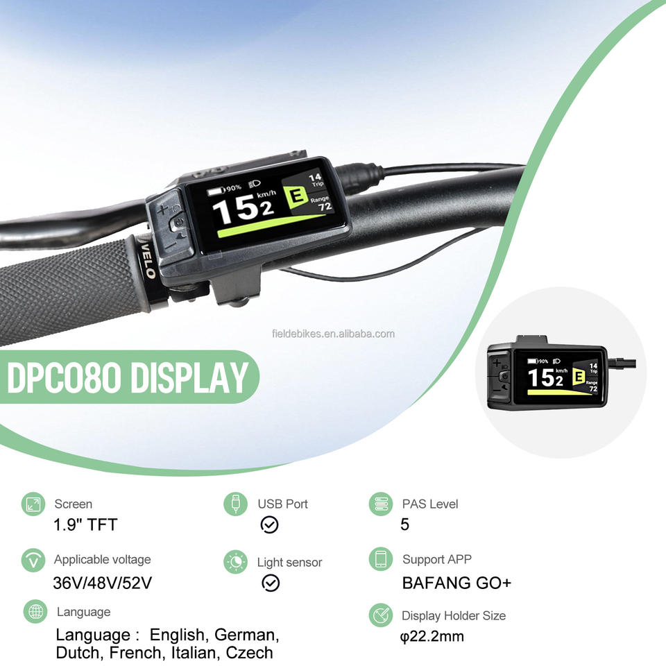 48v 750w Bafang CAN Version BBS02B Ebike Kit with DPC080 BT Display