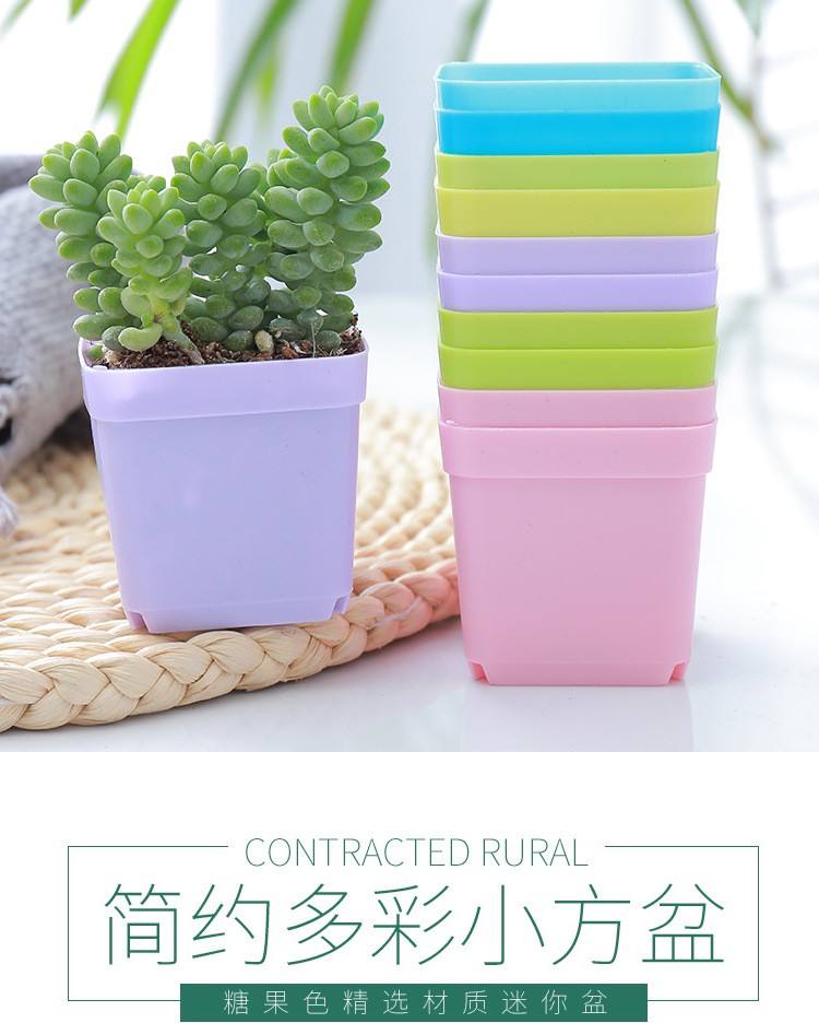 3inch Colorful Minimalist Square Succulent Pot Saucer Indoor Outdoor ...