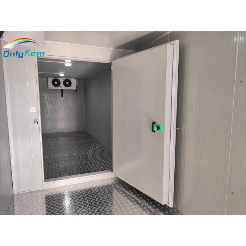Movable Conteneur Chambre Froide 20 Pieds Walk in Freezer Container ...