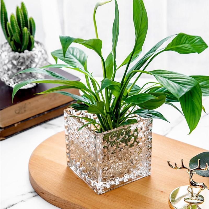 How to Choose Glass Square Vases: A Complete Buying Guide