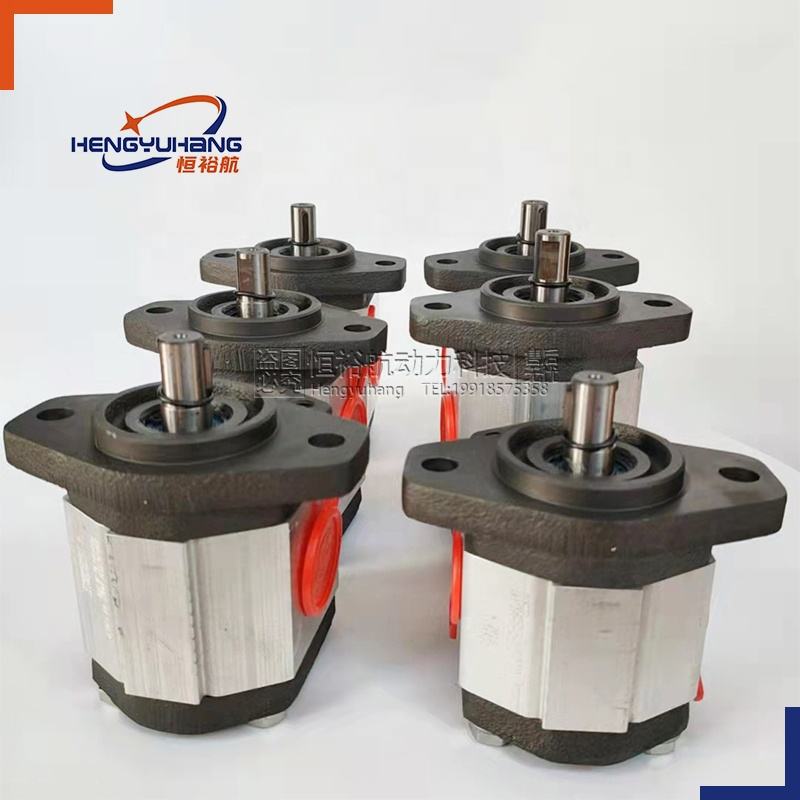 MARZOCCHI GHP Hydraulic Pumps GHP1A-D-3-FG GHP1A-D-6-FG High Pressure ...