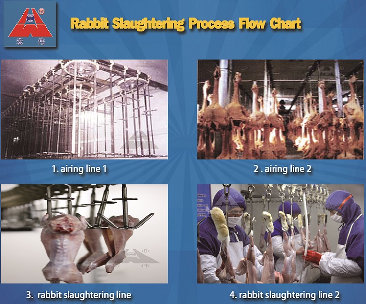 Complete Rabbit Slaughter Equipment For Turnkey Rabbit Slaughter Line ...