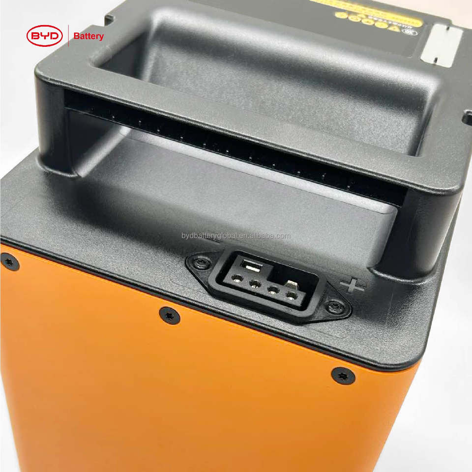 48V 60V 72V 76V 24Ah Lithium Battery with BMS for RV Electric ...