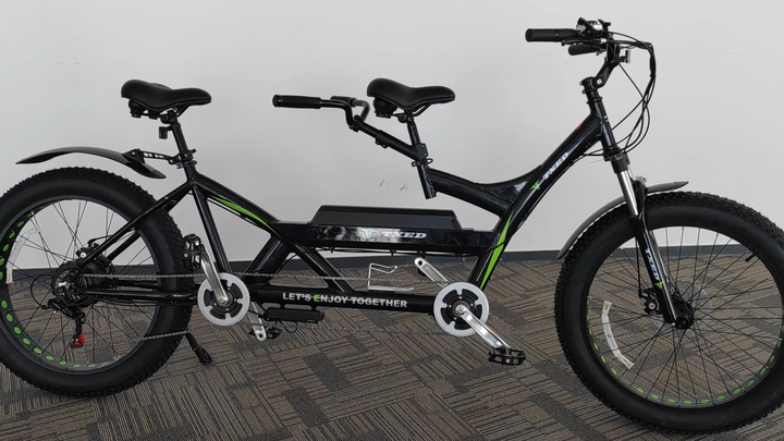 TXED 350W Two Person Electric Bicycle - City Leisure Ride