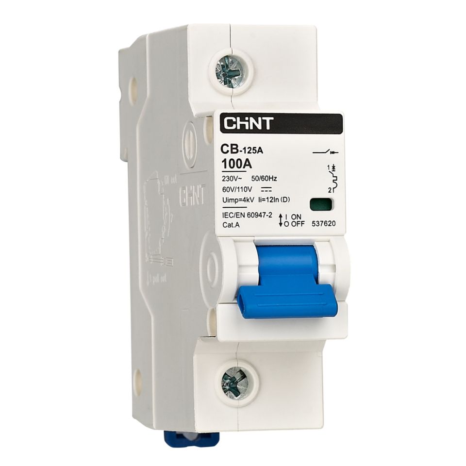 CHINT CB-125A DC Circuit Breaker 80A 100A 125A 2P 1P 60V 110V 220V DC ...
