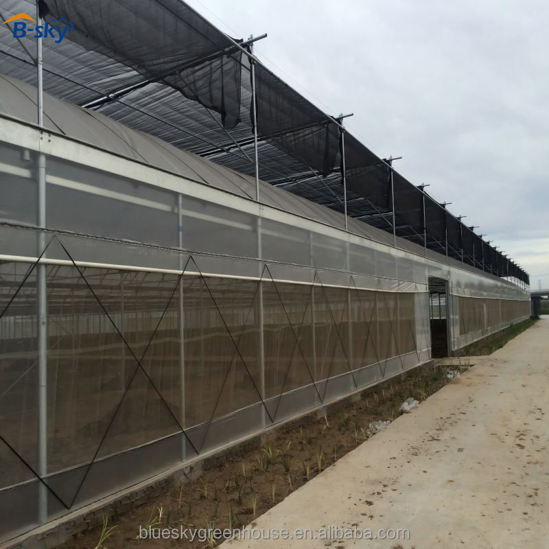Controlled Environment Agriculture Greenhouse for Sustainable Vegetable ...