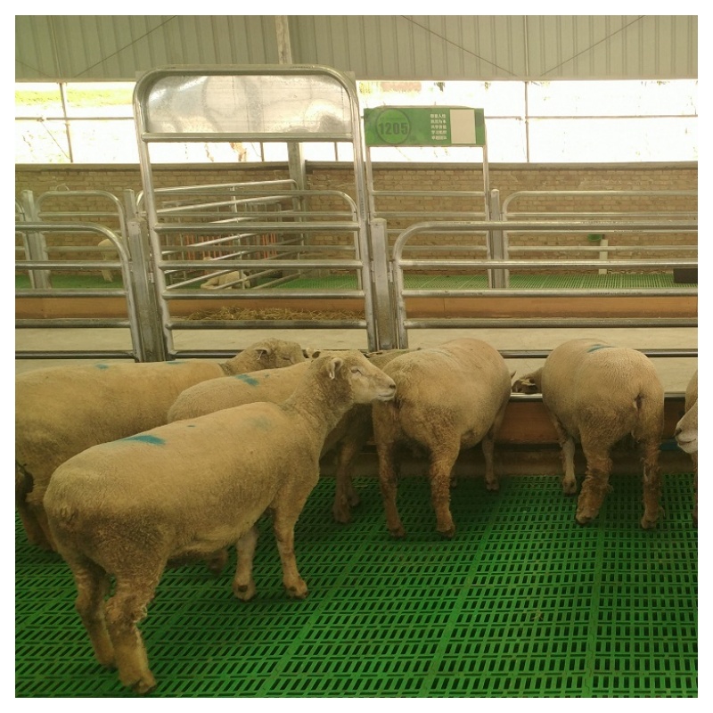 Perfect Synthetic Turf Solutions for All Your plastic slatted floor ...