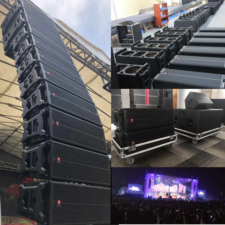 Line Array Dual 10 Woofe LA210 - Powerful Sound System