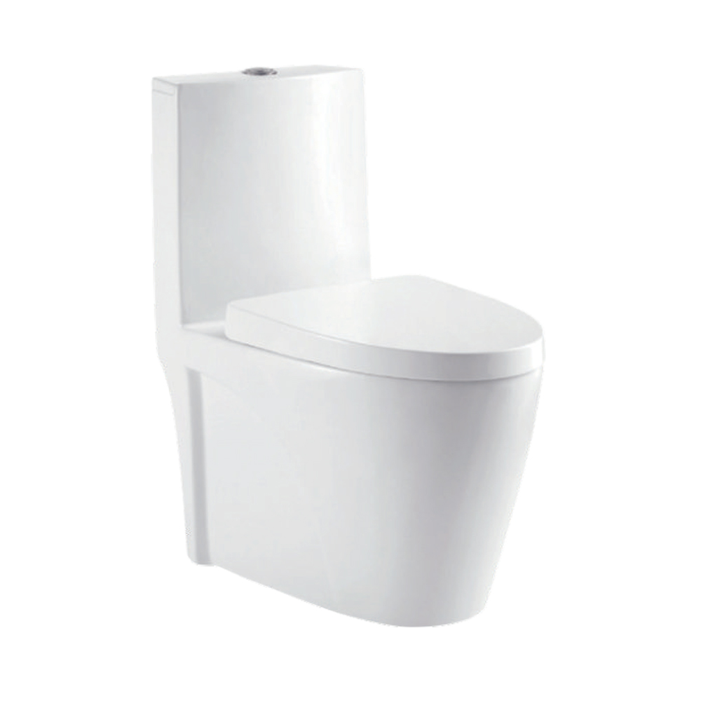 Vitreous China Water Closets - Premium Sanitary Ware
