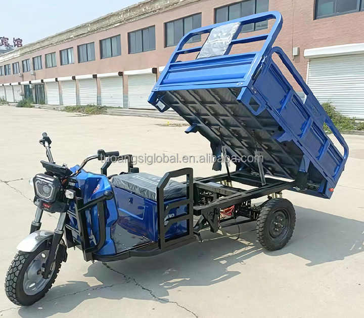 New Type Open 1200W Adult Electric 3 Wheels Cargo Tricycle Goods China ...