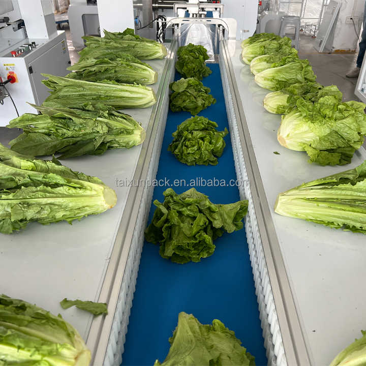 Anti-Fog Film Horizontal Flow Packing Machine for Vegetables Lettuce ...