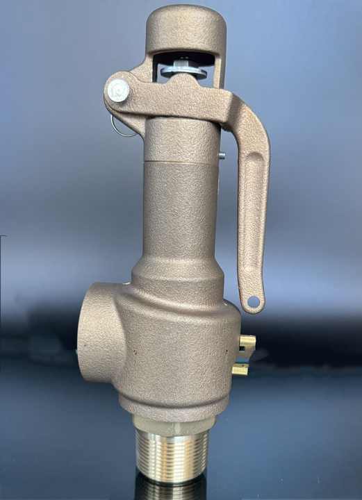 High-Pressure Relief Safety Valve Boiler Steam Spring Full-Lift Thread ...