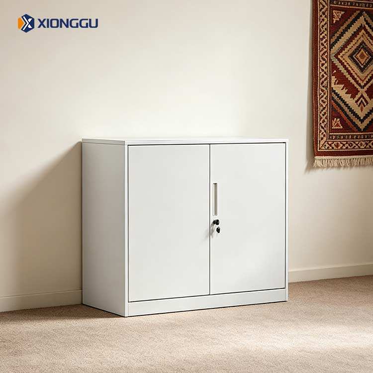 Double Door Low Height Cabinet Key Lock Scratch Proof Multi Use Home ...