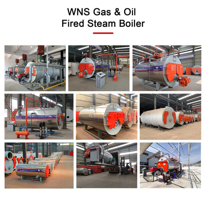 Steam Generator Sauna Vapor Generator, Gas Boiler Upgrade