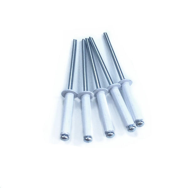 White open blind rivets Products from Dongguan Risheng Hardware ...